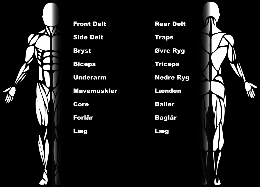 Forside - 50+ styrkeøvelser